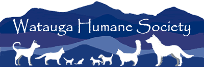Watauga Humane Society Animal Shelter